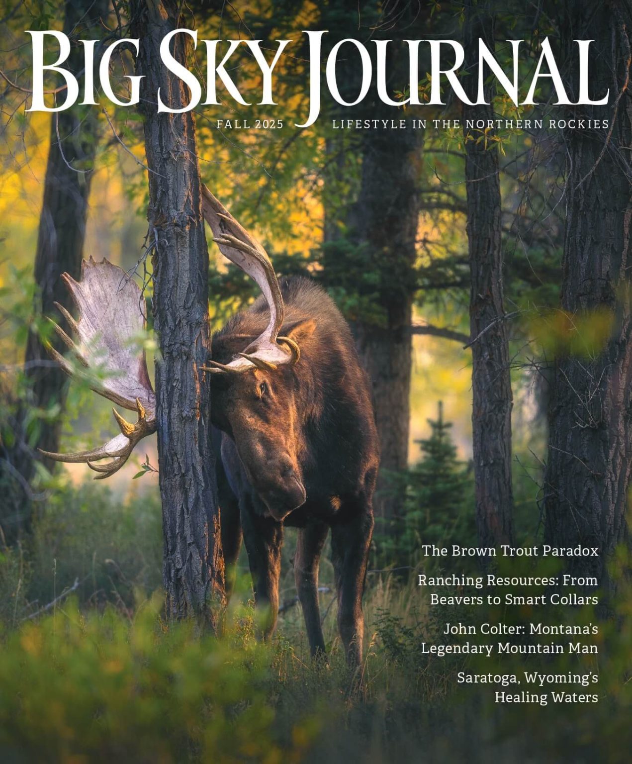 Big Sky Journal Issues